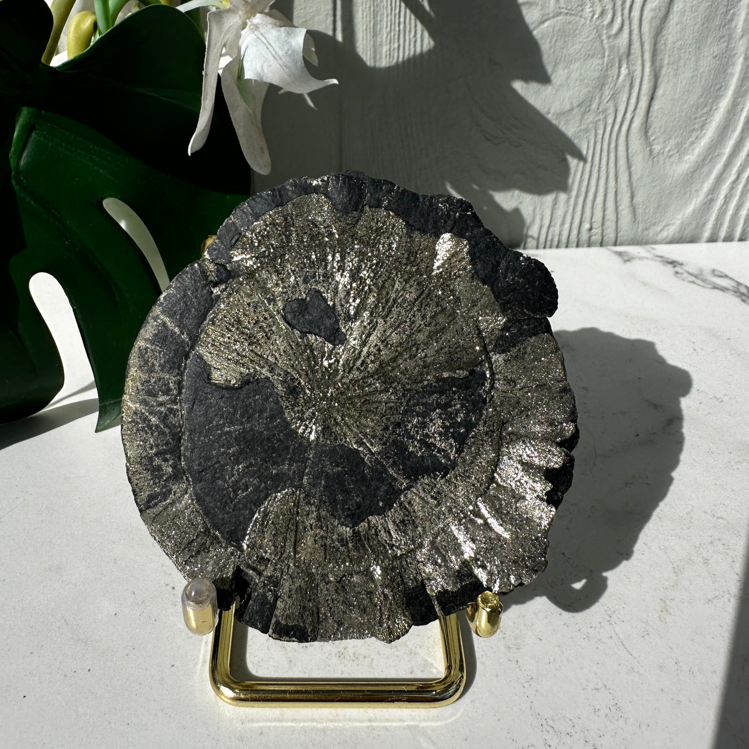 Pyrite Sun – Earthluxe Crystals